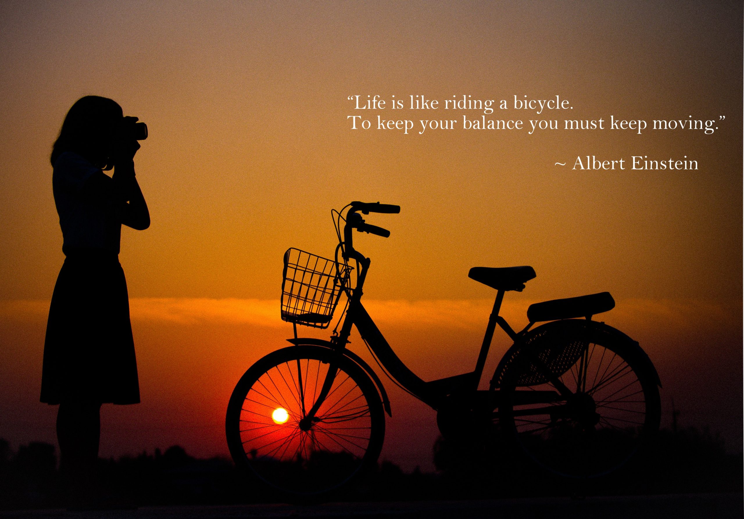 life like a bicycle quote - Anali's Next Amendment